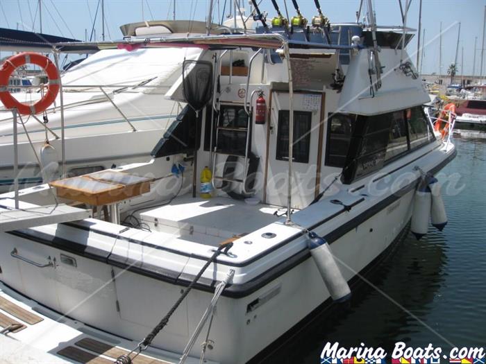 Phoenix 29 sfx convertible